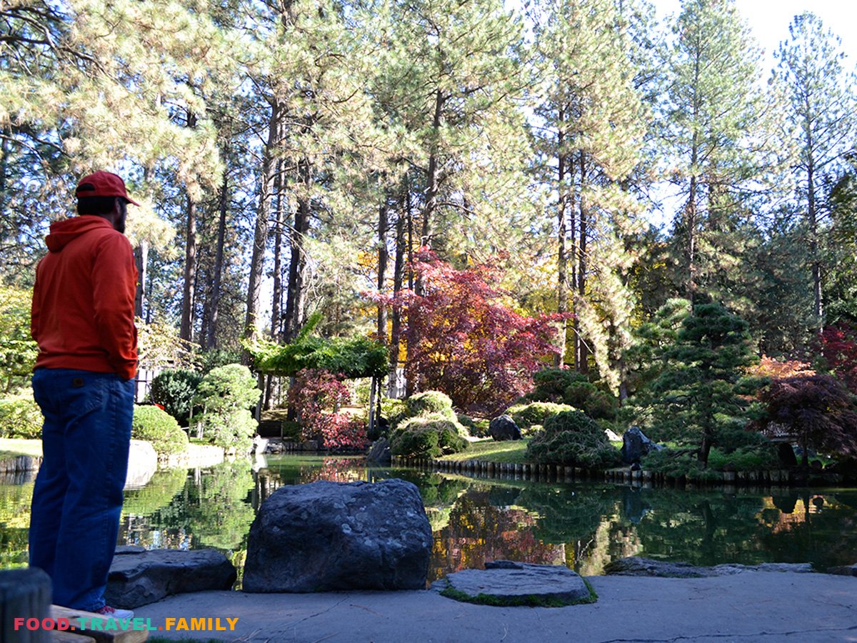 Manito Park Japanese Garden Food Travel Family